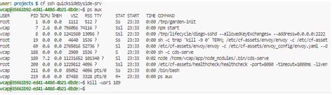 Enable Sap Btp Remote Debugging To Diagnose Capm A Sap Community