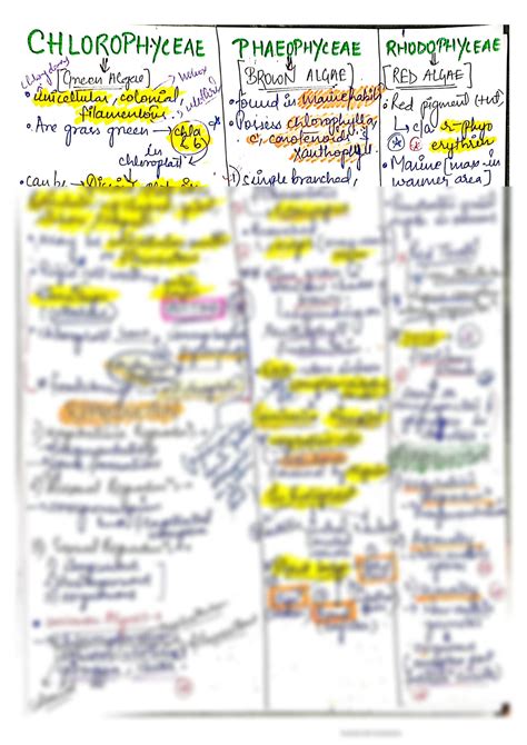 Solution Class 11 Plant Kingdom Complete Flowchart Studypool