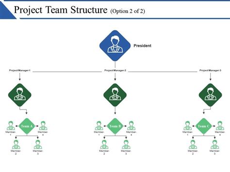 Project Team Structure Ppt Ideas Powerpoint Presentation Slides Ppt