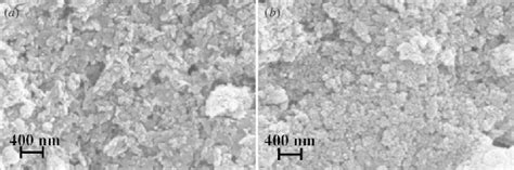 SEM Micrographs Of Powder Samples A HAP B FHAp 5 Download Scientific Diagram