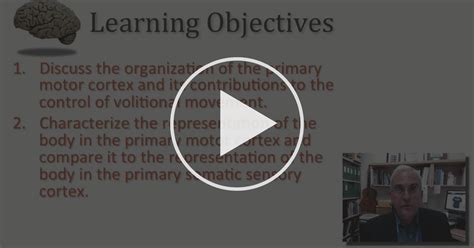 Primary Motor Cortex Part Movement And Motor Control Lower And Upper Motor Neurons Coursera