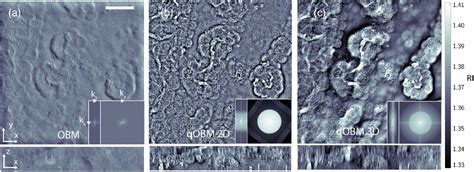 Figure 1 From Quantitative 3d Refractive Index Tomography Of Opaque Samples In Epi Mode