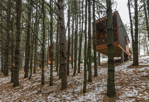 Photo 2 Of 8 In Camp In Style At This Trio Of Cedar Clad Cabins In Minnesota Dwell