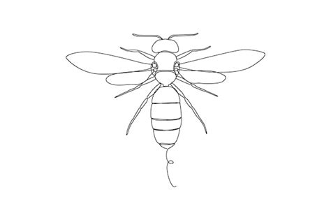 Premium Vector Continuous One Line Drawing Insects Concept Single Line Draw Design Vector