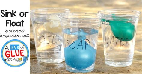 Sink Or Float Science Experiment Science Experiments Experiments Sink Or Float