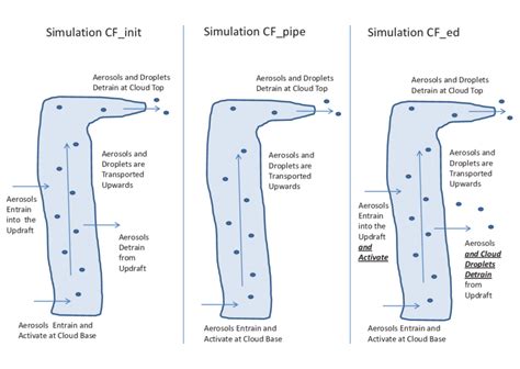 Schematic Showing The Model Setup In The Convective Updrafts For The Download Scientific