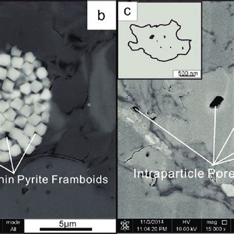 A And C Sketching Diagrams Of Intraparticle Pores B And D Fib Sem Download Scientific