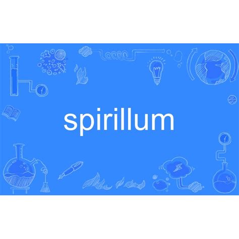 Spirillum 百度百科