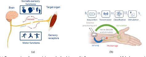 Artificial Neural Networks Based Real Time Classification Of Eng
