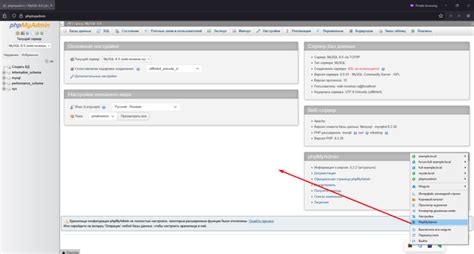Установка Phpmyadmin в Open Server Panel 6 быстро и просто Web