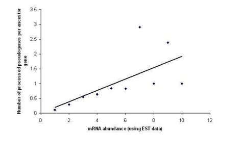 Scatter Plot Showing Correlation Between Mrna Abundance And Number Of