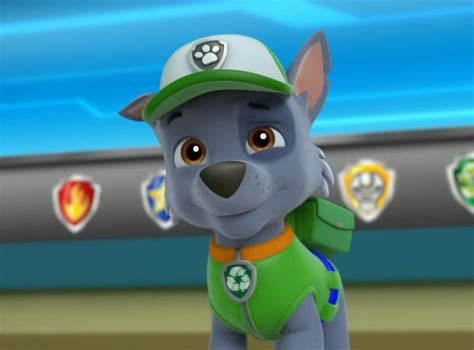 Rocky Paw Patrol Relation Ship Wiki Fandom Powered By Wikia