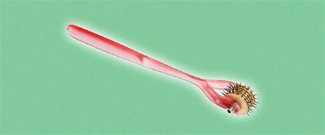 Make Your Point With Spike The Beginner Friendly Sensation Play Tool