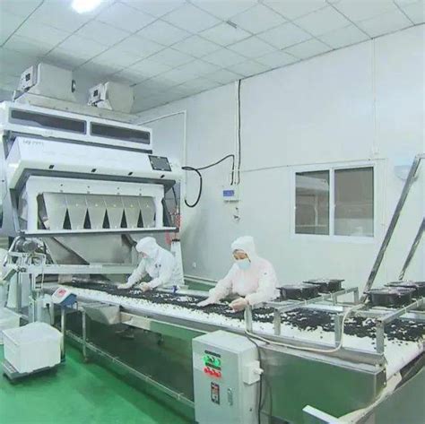 安徽双招双引助力农业产业化加速跑 发展