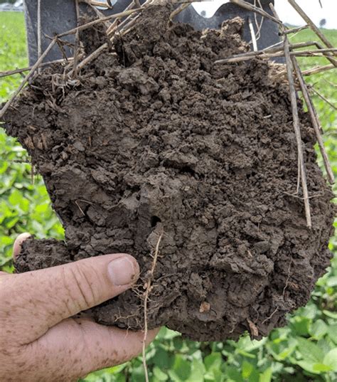 Addressing Compaction During The Regenerative Transition Part Understanding Ag