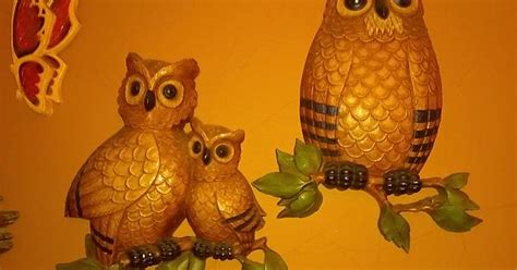 two of my many owl friends album on imgur