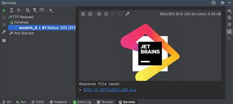 rubymine 2021 3 release candidate the rubymine blog