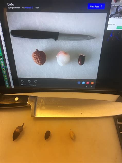 Acorn Album On Imgur