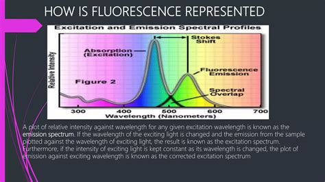 Principles And Application Of Fluorescence Spectroscopy Pptx