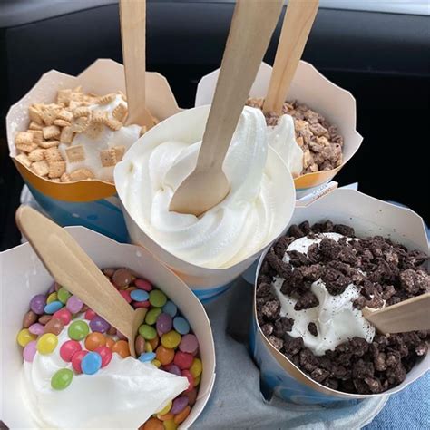 Premium Wholesale Mcflurry Cups For Dessert Businesses Lokyo