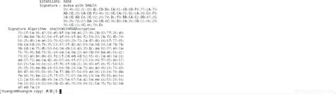 X509数字证书的结构与解析 骑牛射雕 博客园 X509数字证书的结构与解析 骑牛射雕 博客园