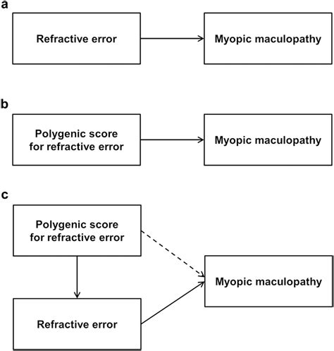 Pathway Diagrams Directed Acyclic Graphs Illustrating Potential Download Scientific Diagram