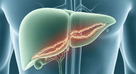 Psc Diagnosis Management And Living With Liver Disease