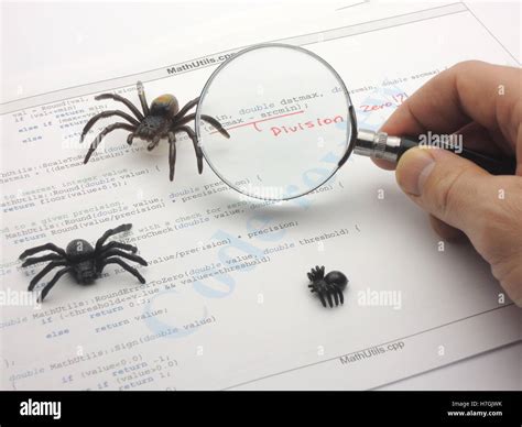 Bugs In The Source Code Division By Zero Error In A C Program The Programmer Is Inspecting