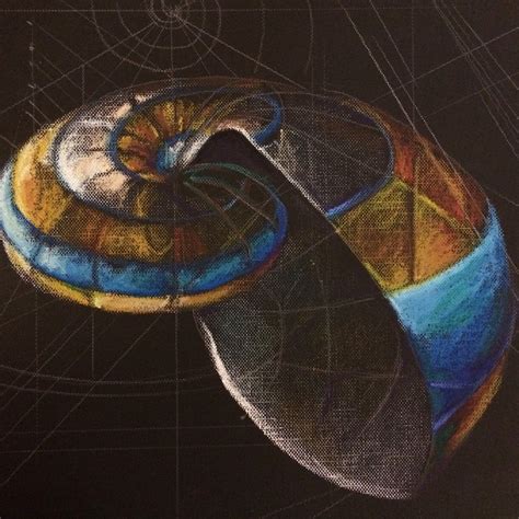 Sequencia De Fibonacci Na Arte Espiral Fibonacci Imagens Download