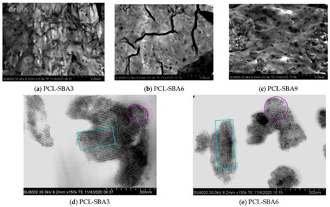 Polymers Special Issue Synthesis Processing Structure And Properties Of Polymer Materials