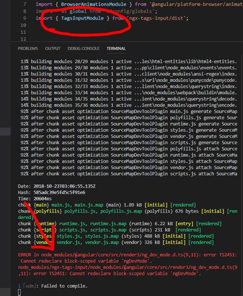 Angular Input Tag Cannot Redeclare Block Scoped Variable Ngdevmode Ngx Tags Input Stack