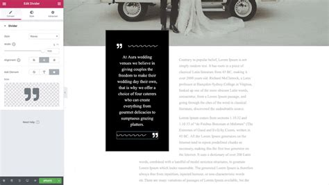 Divider Widget Elementor