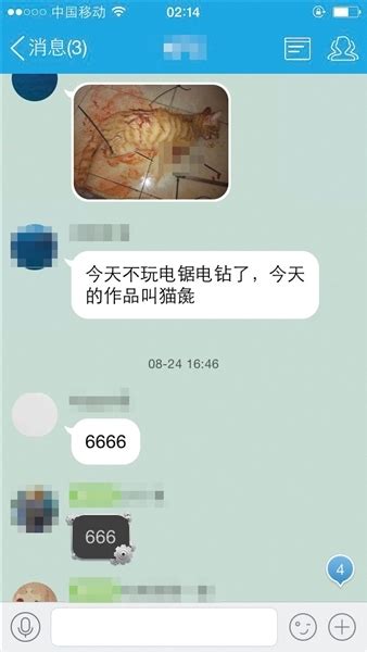 广东大学生虐猫被人肉 虐猫等级严密按杀猫数晋级财经中国网