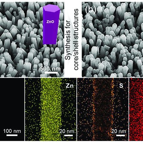 Energy Band Diagrams Of The Zno Nw And Znozns Coreshell Nw Devices Download Scientific