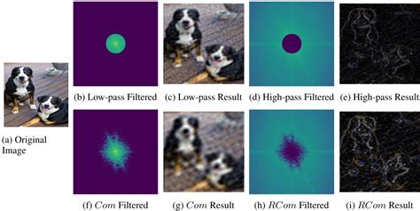 논문 리뷰 Frequency Guided Masking For Enhanced Vision Self Supervised Learning