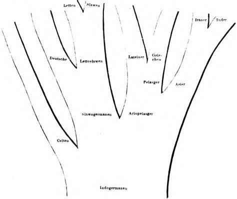Phonotactics In Historical Linguistics Jayden Macklin Cordes