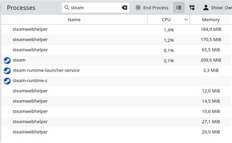 Steam Is Not Showing GUI After Launch Using IGPU Or DGPU Contains Solution And Bonus Question