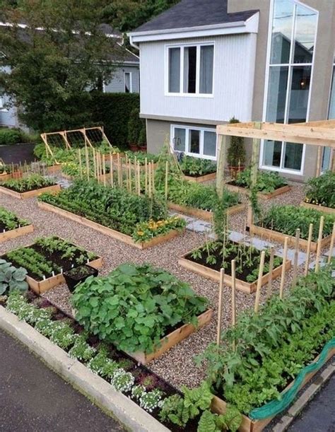 50 Beautifuly Colorful Vegetable Garden Design Ideas Page 27