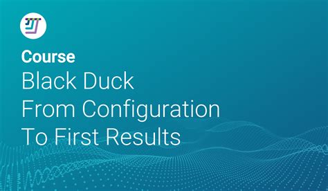 Black Duck From Configuration To First Results
