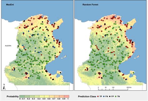 Classification Of The Data Points Used Tp True Positive Red Tn