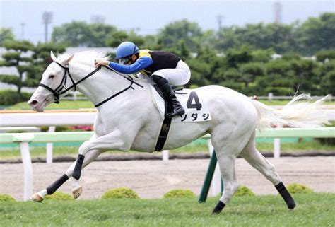 白い競走馬ソダシを語る。血を繋ぐロマンと「ストーリー」に人は課金し続ける 会社員が嫌で起業へ逃げた凡人のブログ