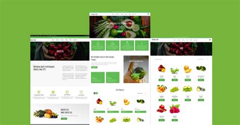 Wordpress Marketplace Woocommerce Themes Development Code Canel