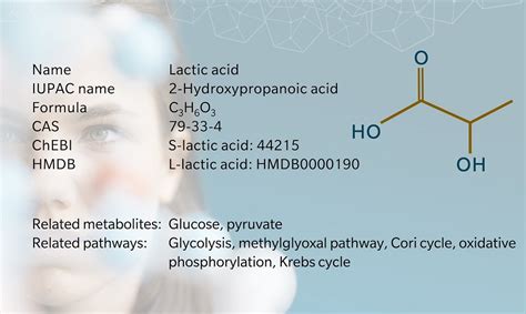 Lactic Acid And Krebs Cycle