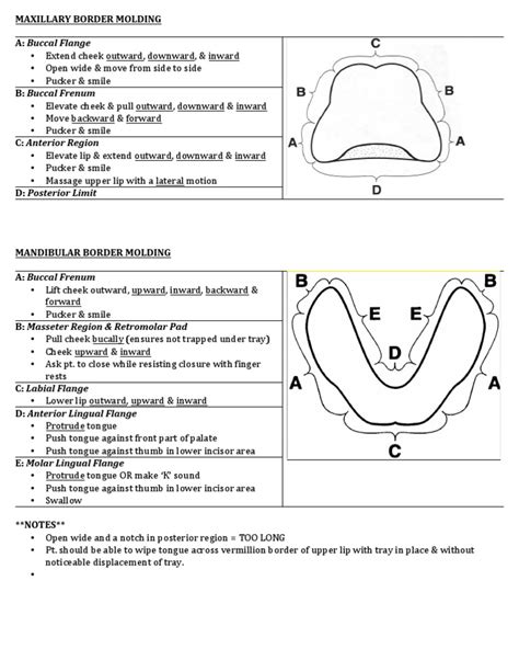 Maxillary And Mandibular Border Molding Pdf