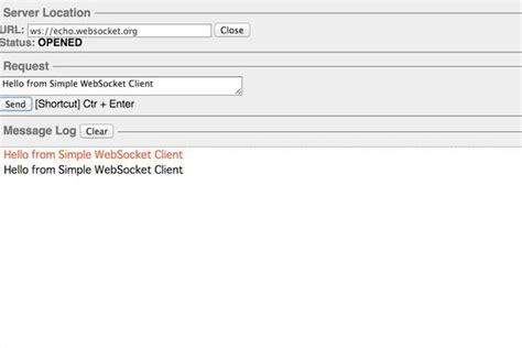 Simple Websocket Client Chrome 应用商店 Chrome插件下载 收藏猫插件