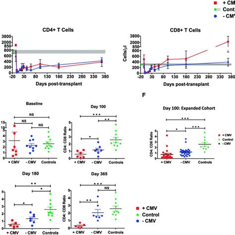 Analysis Of Cmv Specific Cd8 1 T Cells Using Peptide Stimulation And