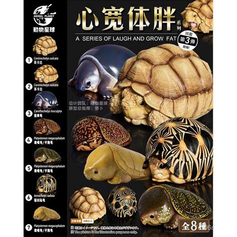 【心動gk】 動物星球 心寬體胖係列 第三彈 手辦 模型 擺件 Gk 蝦皮購物