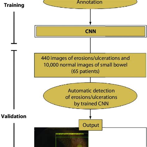 Flowchart Of The Study Design Cnn Convolutional Neural Network