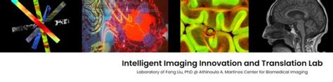 Fang Liu On Linkedin Magnetic Resonance Parameter Mapping Using Self Supervised Deep Learning
