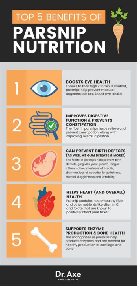 Parsnip Benefits Nutrition Facts How To Use And Recipes Dr Axe